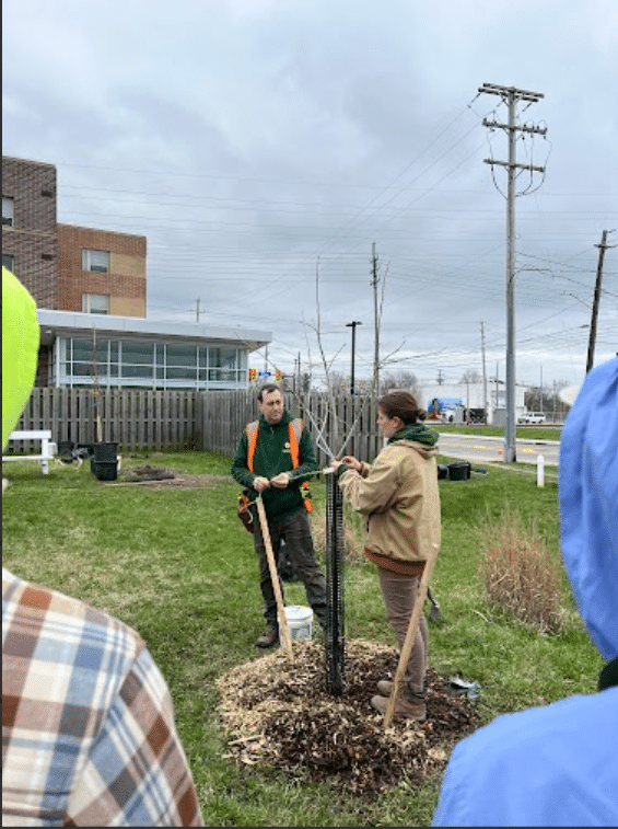 Op-Ed: How the Cleveland Tree Coalition is improving quality of life ...