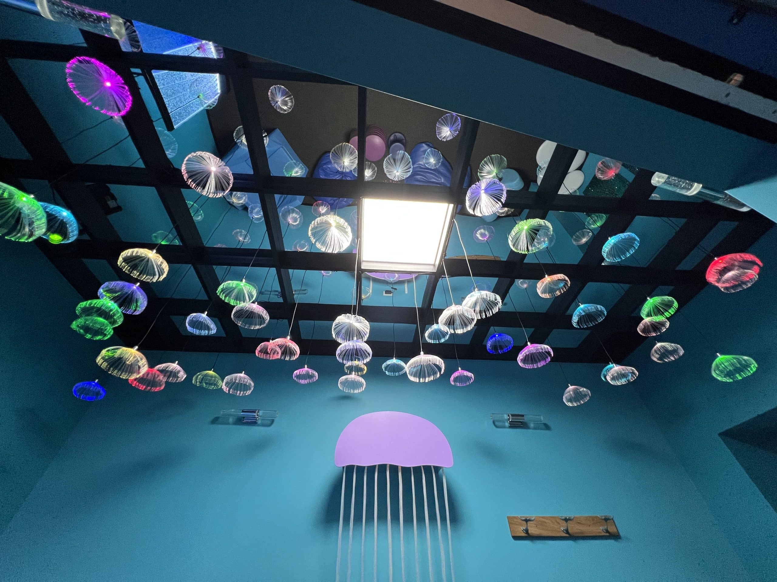 A new calming room helps people with sensory conditions enjoy the ...